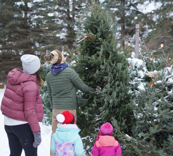 A Country Christmas • Saunders Farm